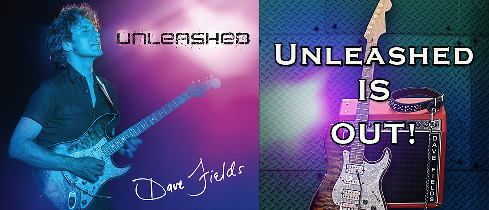 Dave Fields – Fodera Guitars artist and NY Blues Hall of Famer.