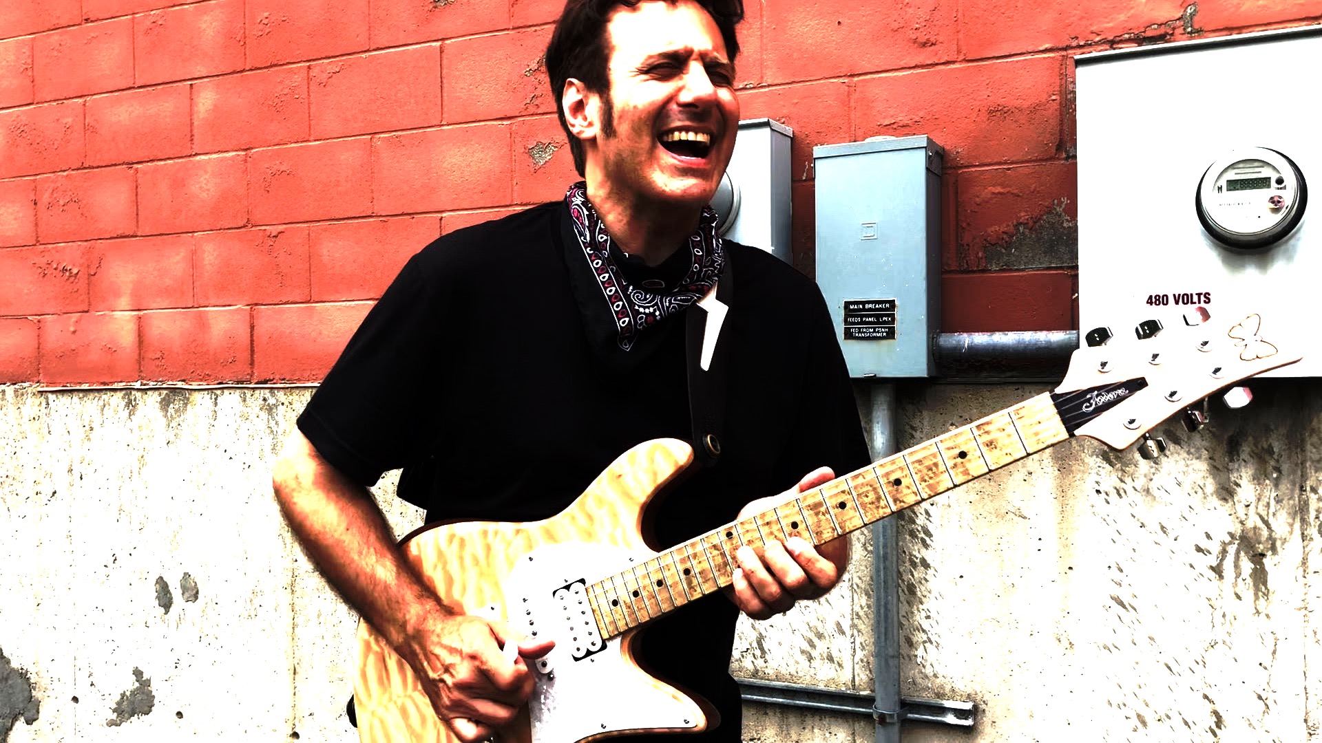 This Week! – Dave Fields