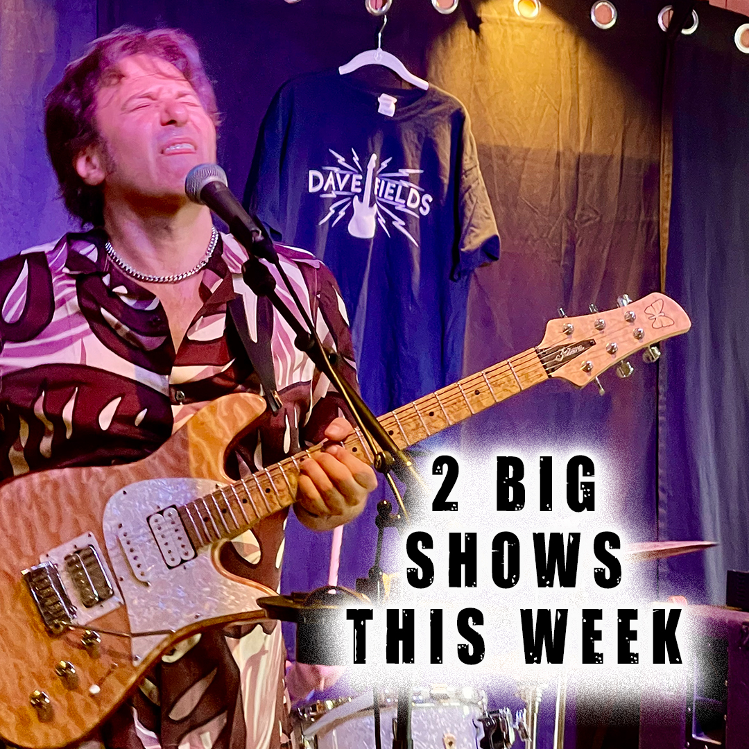 Dave Fields – Fodera Guitars artist and NY Blues Hall of Famer.